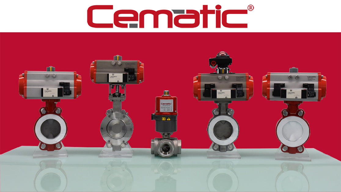 Clamp Ball Valves with Stainless Steel Body – Cematic